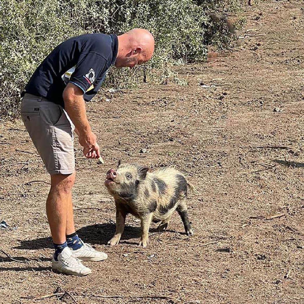 The Pig Issue at Clipstone Park - ECL Civil Engineering