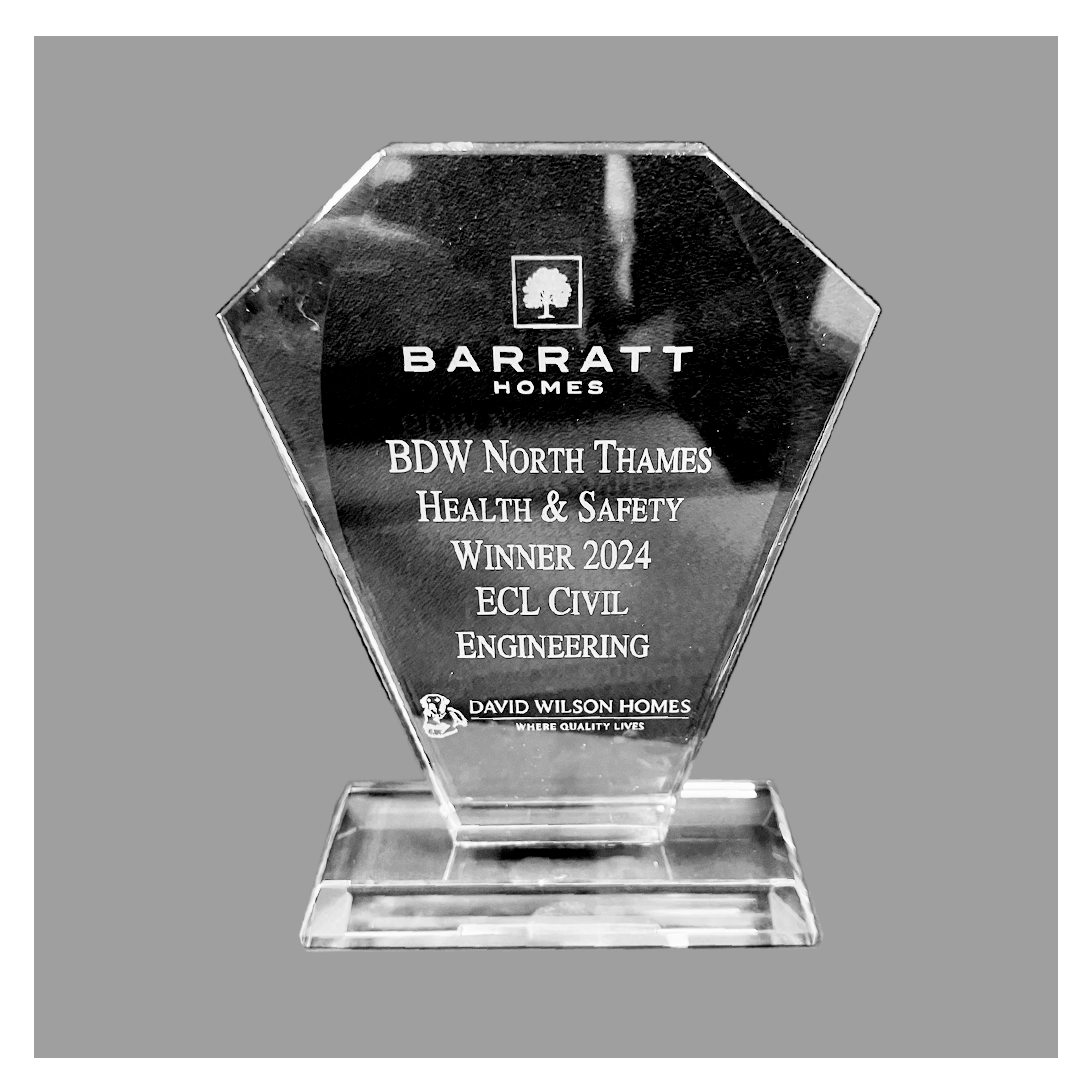 Health and Safety Award Winners - ECL Civil Engineering